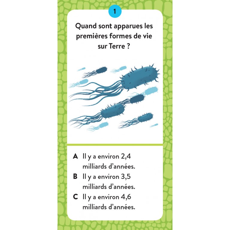 Le coffret du mega atlas des dinosaures-Sassi-Super Châtaigne